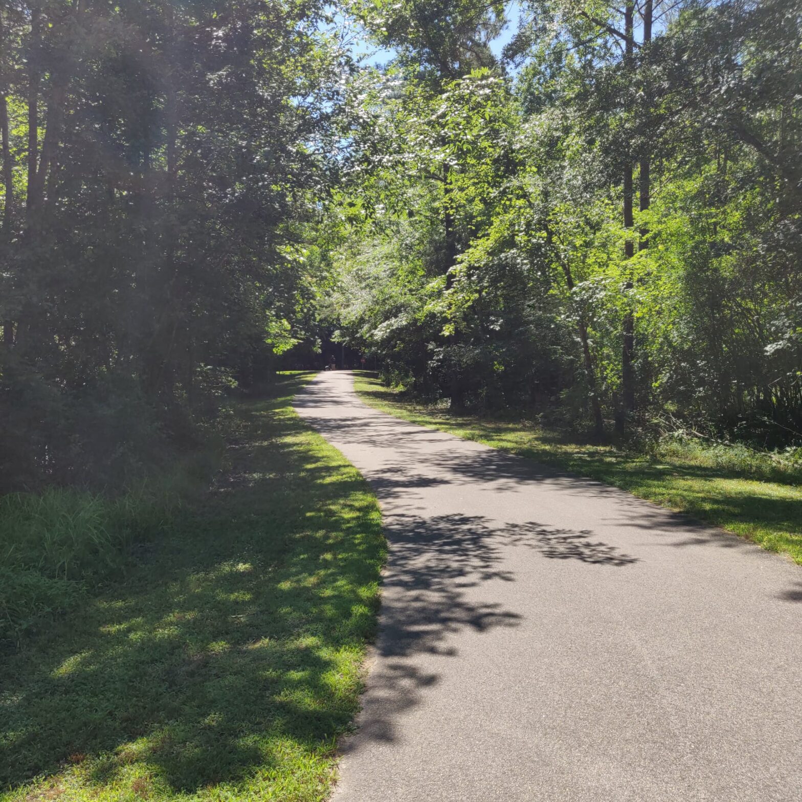 Exploring Raleigh: A First-Timer’s Guide to North Carolina’s Capital City